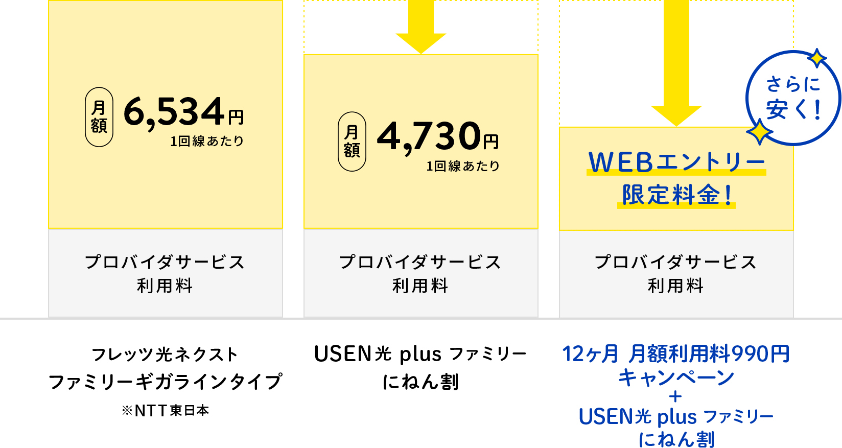 【WEB限定】月額990円！法人向け光回線 USEN光 plus